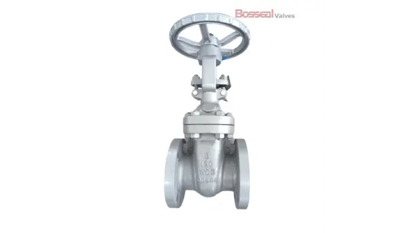 API 600 Gate Valve, 6 IN, 1500 LB, OS&Y, ASTM A890 4A, PSB | Bosseal
