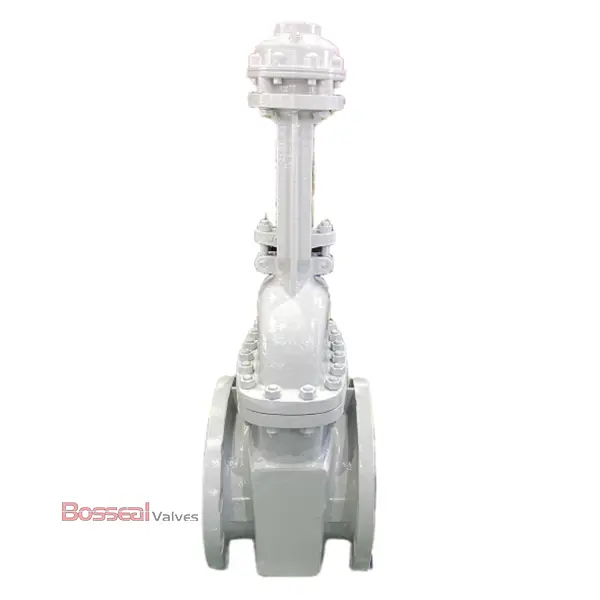 Flexible Wedge Gate Valve, 20 IN, CL 300, ASTM A890 4A - Bosseal