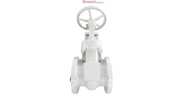 ASTM A890 4A Gate Valve, 6 Inch, 600 LB, OS&Y, API 600 | Bosseal