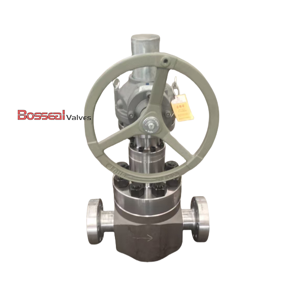 11 Inch Globe Valves, API 6A, ASTM A694 F60, 10000 PSI, RTJ | Bosseal