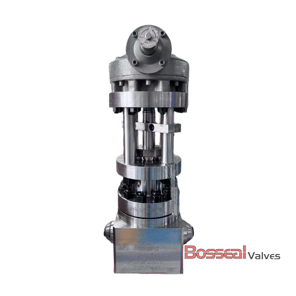 API 6A Globe Valves, A694 F65/4130, 3-1/16 IN, 17-4PH Trim | Bosseal