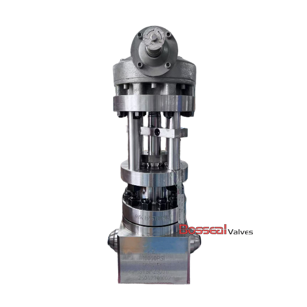 API 6A Inconel Globe Valves, 9 Inch, F51 Trim, 10000 PSI, BW | Bosseal