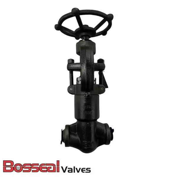 ASTM A182 F11 Globe Valve, ASME B16.34, 1/2 IN, 1500 LB, BW - Bosseal
