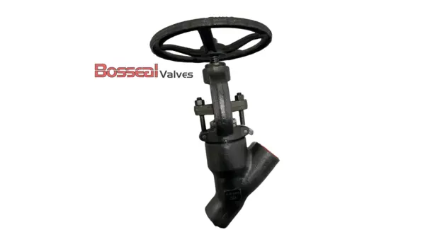 API 602 Y Globe Valve, ASTM A182 F316, 3/4 IN, CL1690, DN20 | Bosseal