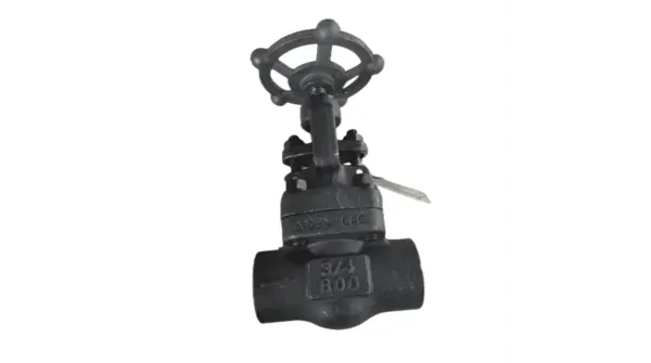 3/4 Inch Forged Globe Valve, 800 LB, A105N, API 602, NPT | Bosseal