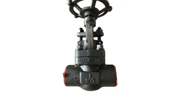 API 602 Forged Globe Valve, 1 Inch, 800 LB, A105N, SW | Bosseal