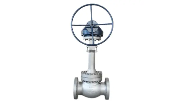 ASTM A351 CF8M Cryogenic Globe Valve, 16 IN, 300 LB, BS 6364 - Bosseal