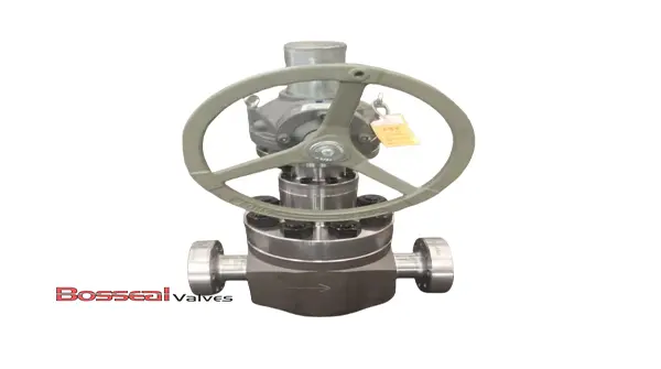 API 6A Globe Valves, 6-1/8 IN, 5000 PSI, Inconel Trim, RTJ/BW | Bosseal