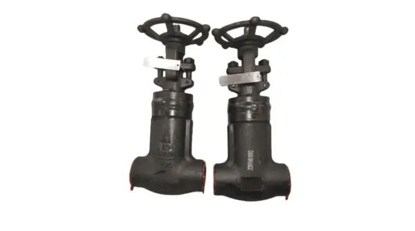 Bellow Seal Globe Valve, 1 Inch, 600 LB, A105N, API 602, SW | Bosseal