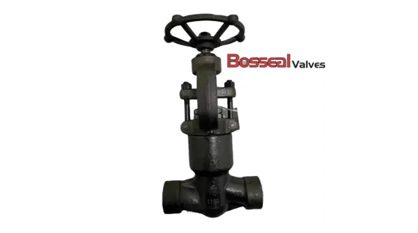 ASTM A182 F22 Globe Valve, ASME B16.34, 1/2 Inch, 1700 LB | Bosseal