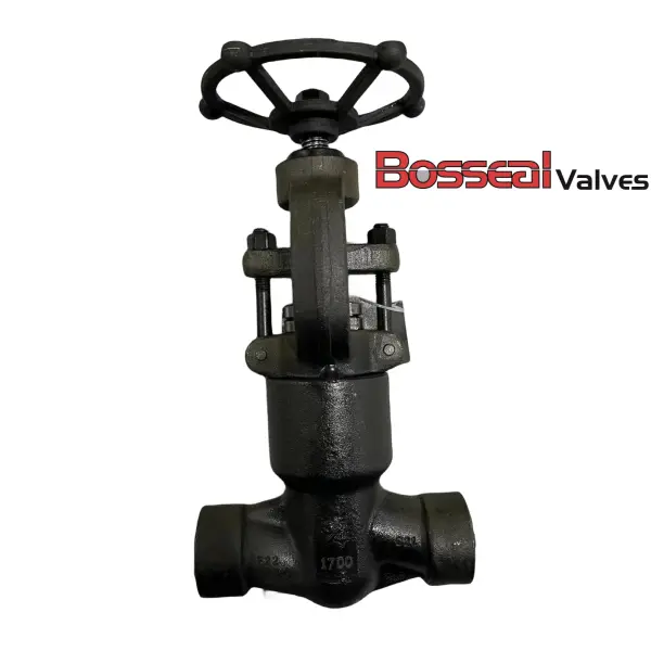API 602 Globe Valve,ASTM A182 F22,1 Inch,2500 LB - Bosseal