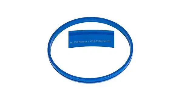 ASTM A516 GR 70 Ring Gasket, ASME B16.20, API 6A Norsok L-005 | Topper