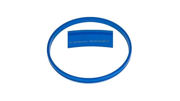 ASME B16.20 Ring Gasket, ASTM A516 GR 70, IX-350 | China Topper