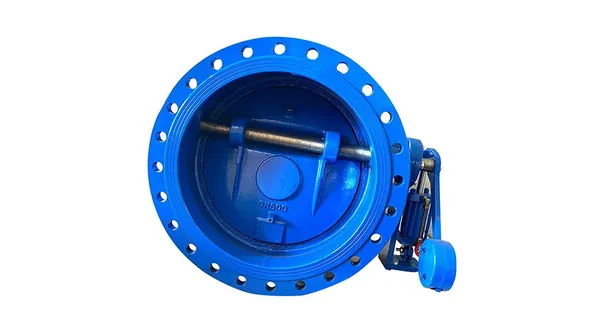 Application of Slow-closing Sub Valve in Check Valves | JSC