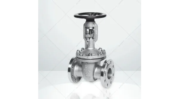 Parallel Gate Valves: Key Types and Their Features | JSC
