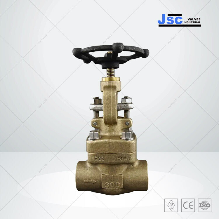 ASTM B150 C61900 Globe Valve, API 602, 1 IN, 800 LB, NPT End - JSC