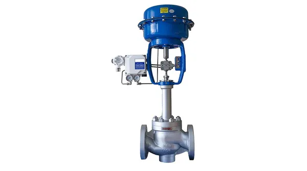 Extended Bonnet Globe Control Valve, 3/4-12 Inch, CL 150-600 - CNCONTROL