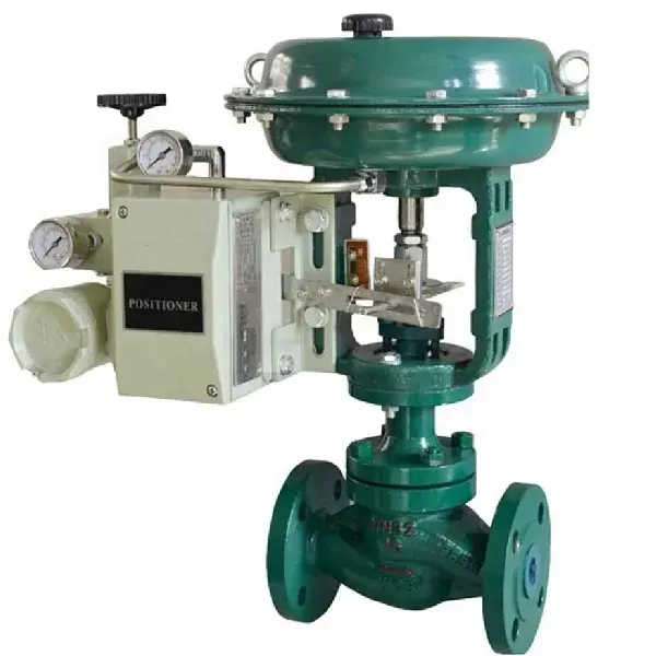 Comprehensive Guide to Cage-Guided Globe Control Valves - China ...