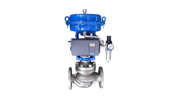 Single Seat Globe Control Valve, ASTM A351 CF8M, 2 IN, 150 LB | MFRS