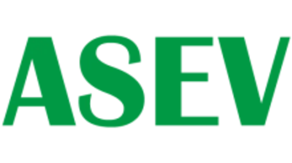 China Electric Vehicle Wholesale, Used Electric Car Supplier | ASEV