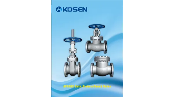 API 603 Valve | Kosen