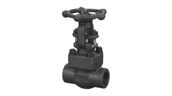 China Forged Steel Valve Manufacturer | Kosen