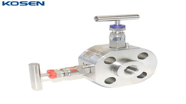 Monoflange SBB Valve, Stainless Steel SS 316L, CL300, RF+FNPT | Kosen