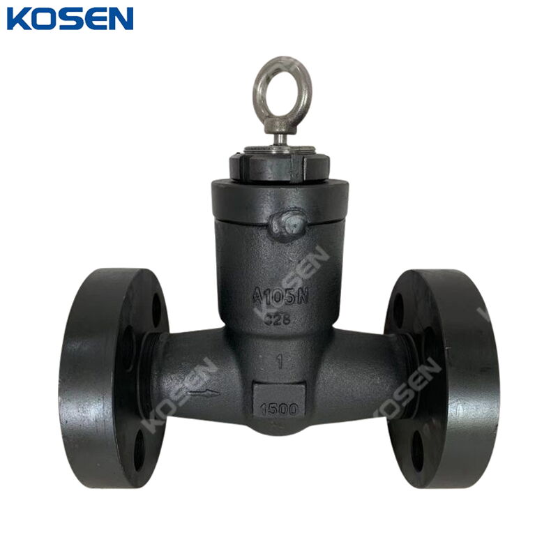 ASTM A105N Check Valve, API 602, 1 Inch, CL1500 LB, RTJ, PSB | Kosen