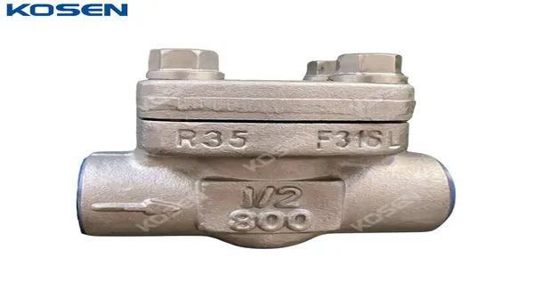 ASTM A182 F316L Piston Check Valve, API 602, 1/2 IN, 800 LB | Kosen