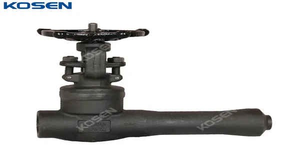 Extended Body Gate Valve, API 602, ASTM A105N, 1 Inch, CL800 | Kosen