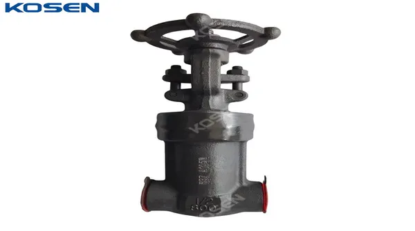 Bellows Sealed Gate Valve, API 602, A105N, 1/2 IN, CL800, SW | Kosen