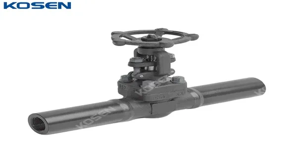 ASTM A352 LF2 Gate Valve, API 602, 800 LB, Extended Body, BW | Kosen