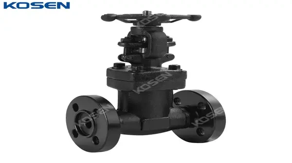 Custom Bellows Sealed Gate Valve, API 602, A105N, Handwheel | Kosen