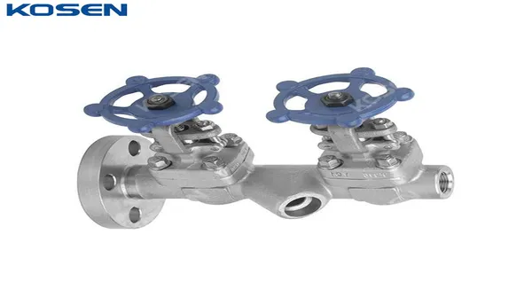 API 602 Double Gate Valve, A182 F316, 3/4 IN, CL150, RF*FNPT | Kosen