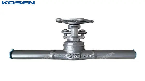 Extended Body Gate Valves, API 602, A105N, 3/4 Inch, 800 LB | Kosen