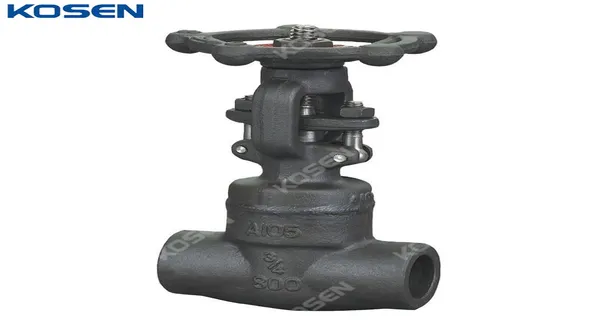 Welded Bonnet Gate Valve, API 602, ASTM A105, 3/4 IN, 800 LB | Kosen