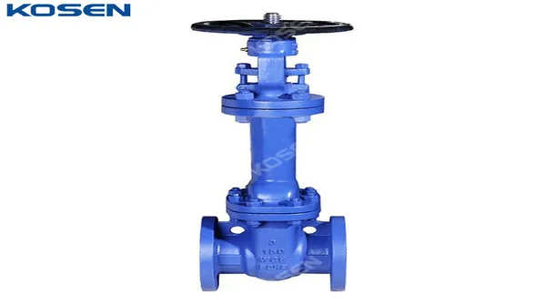 Bellows Sealed Wedge Gate Valve, API 600, WCB, 3 Inch, CL150 | Kosen