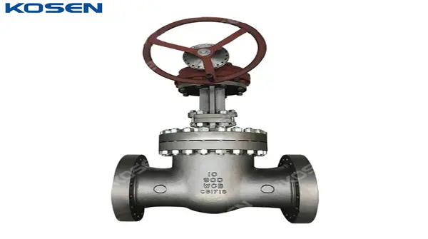API 600 Wedge Gate Valve, A216 WCB, 10 Inch, 900 LB, Gearbox | Kosen