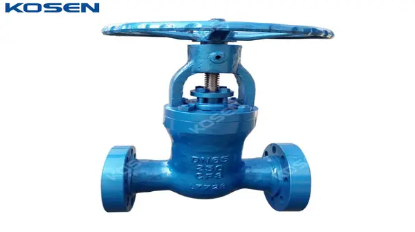 ASTM A351 CF8 Gate Valves, API 600, DN65, PN250, 2.5 IN, PSB | Kosen
