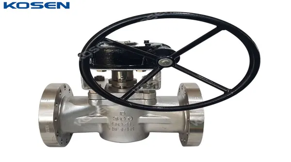 SS 904L Sleeved Plug Valve, API 6D, API 599, 6 IN, CL300, RF - Kosen