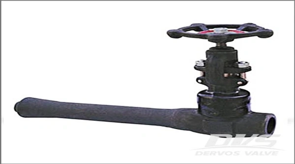 Integral Extended Body Globe Valve, ASTM A105N, 1 Inch, Class 800 | Forge