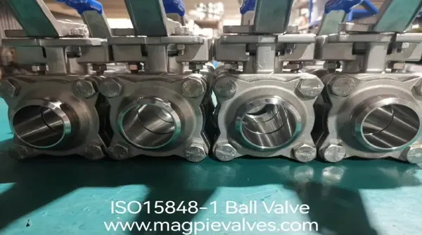 ISO 15848-1 Ball Valve | Magpie