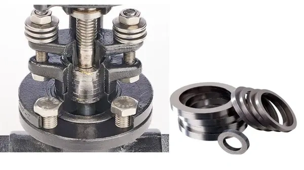 Packing Seals: Principles, Advantages & Leakage Mechanisms | Magpie