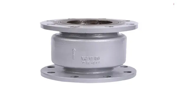 Vertical Check Valve, ASTM A216 WCB, DN15-DN250, PN16, PN25 | Magpie