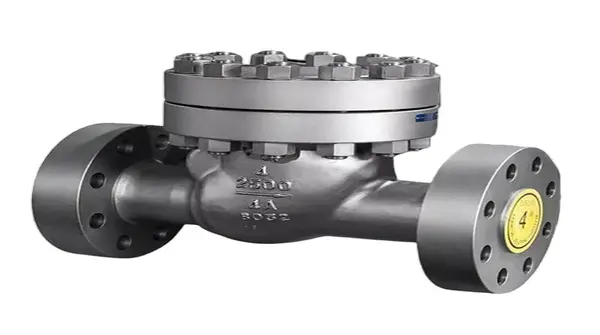 ASTM A995 4A Swing Check Valves, API 6D, 4 Inch, 2500 LB, RF | Magpie