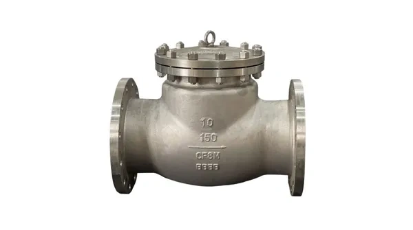 API 6D Swing Check Valve, BS 1868, ASTM A351 CF8M, 10 Inch | Magpie