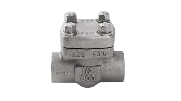 ASTM A182 F316 Check Valve, API 602, 1/2 Inch, 800 LB, BB | Magpie