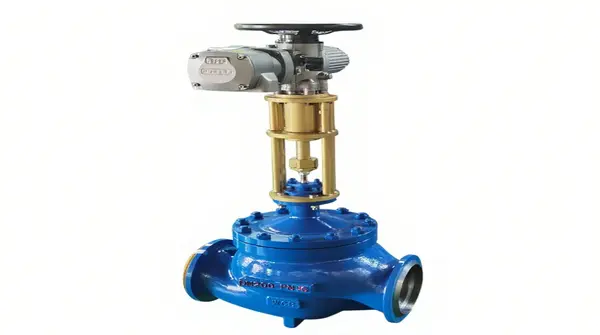 Balanced Trim Control Valve, A216 WCB, DN200, PN16, Electric | Magpie