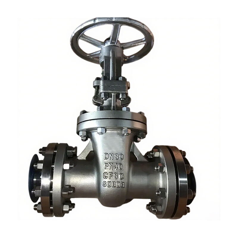 ASTM A351 CF8C Gate Valve, API 600, DN80, PN40, 3 IN, Flanged | Magpie