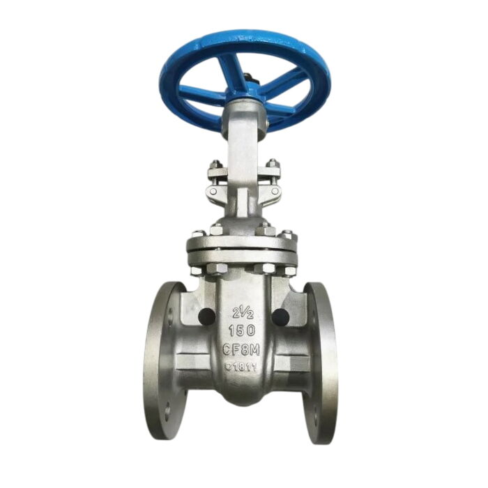 ASTM A351 CF8M Wedge Gate Valve, API 600, 2-1/2 Inch, CL150 | Magpie